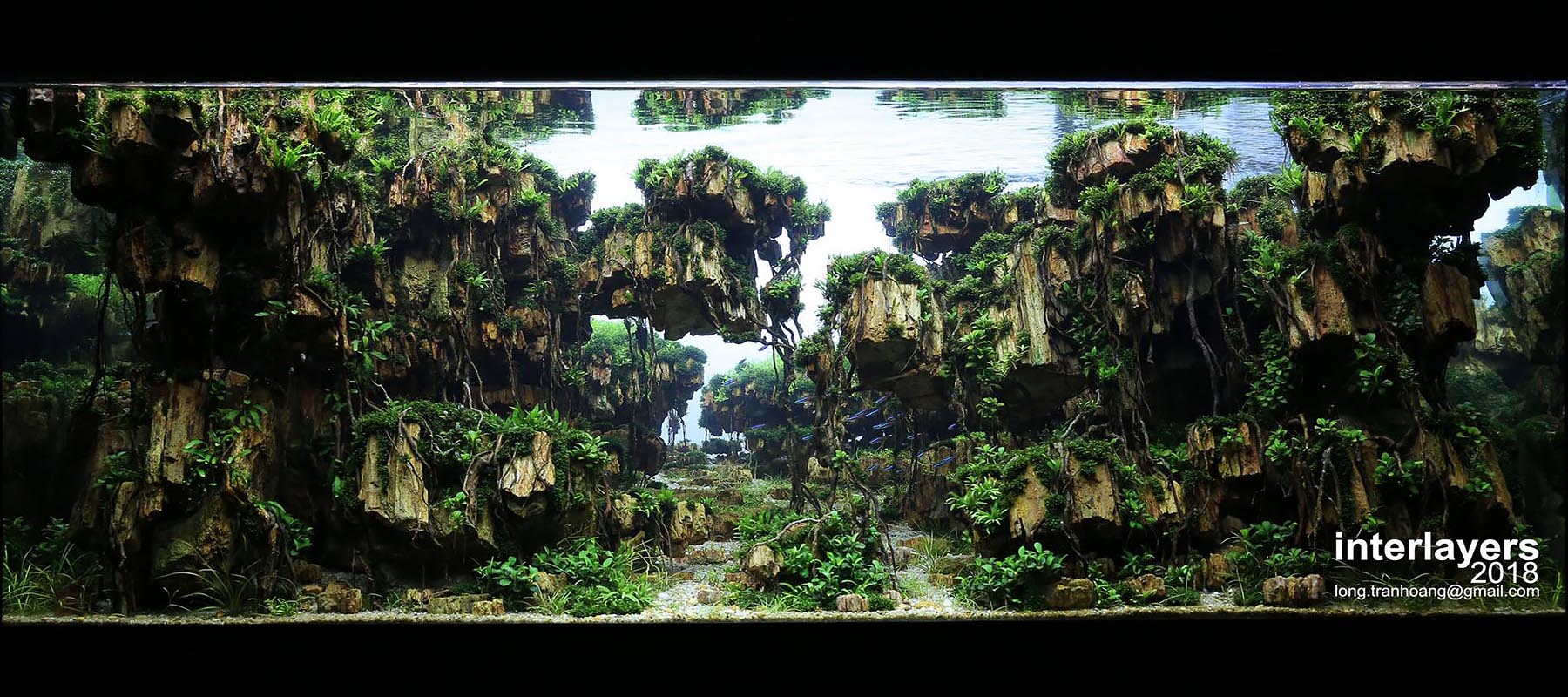 Aquascape styles and ideas Page 4 - The 2Hr Aquarist