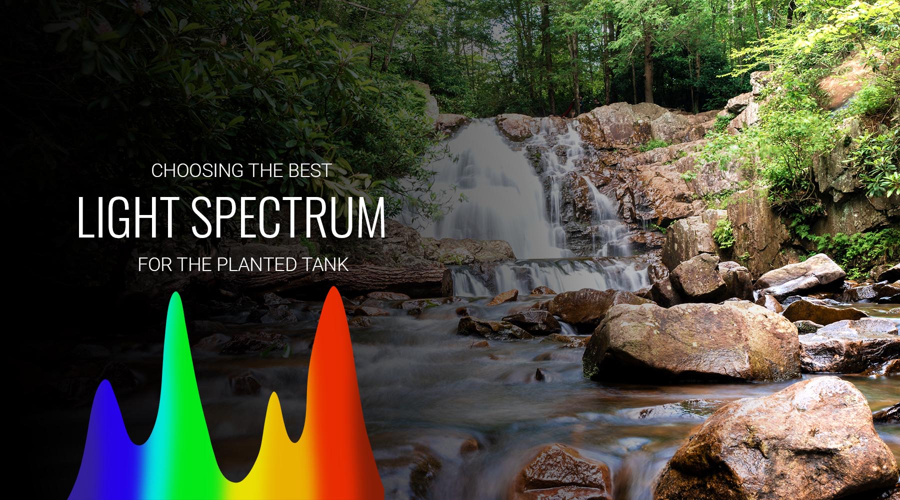 Choosing the best light spectrum for planted tanks - The 2Hr Aquarist