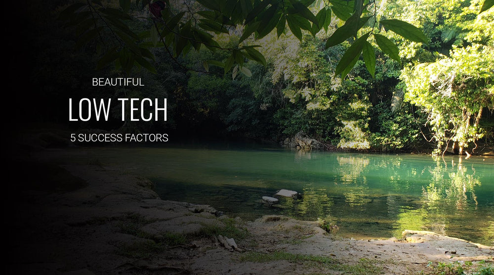 Low Tech setup - 5 keys to maximise success - The 2Hr Aquarist