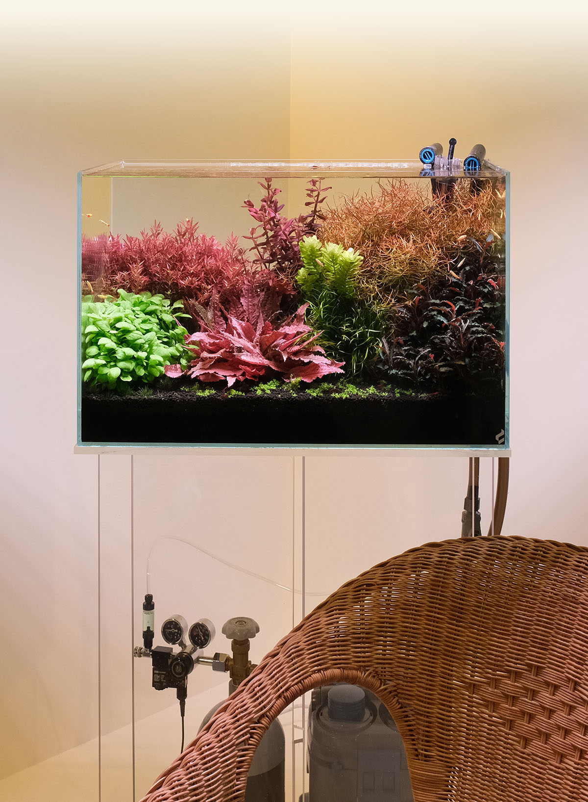 Planted Tank 101 - The 2Hr Aquarist