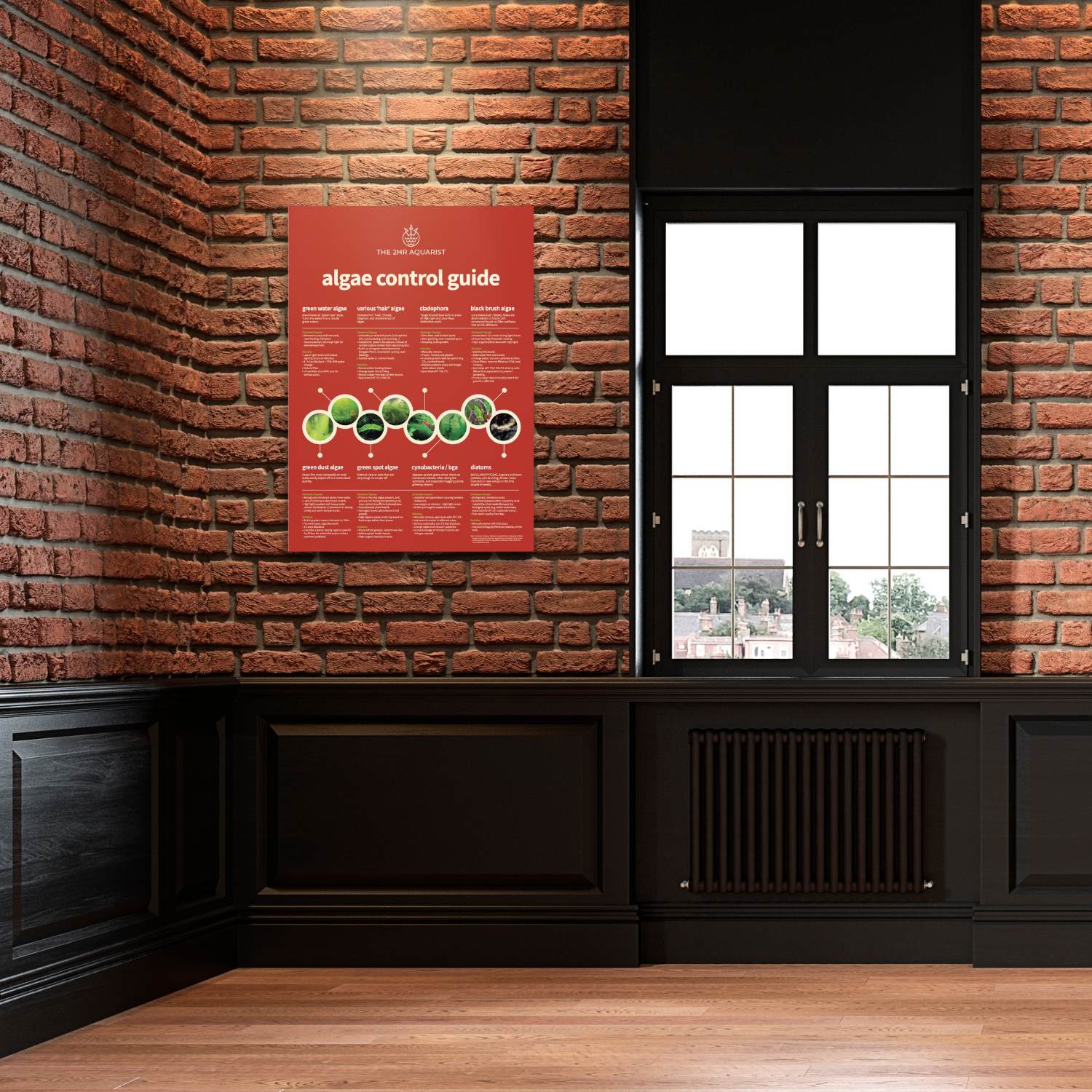 Algae Control Poster - The 2Hr Aquarist