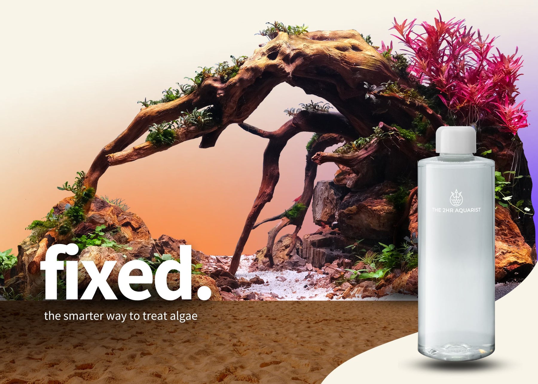 Algae Free The 2Hr Way - The 2Hr Aquarist