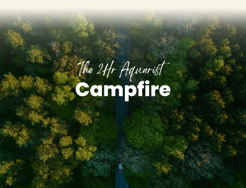 Campfire - The 2Hr Aquarist