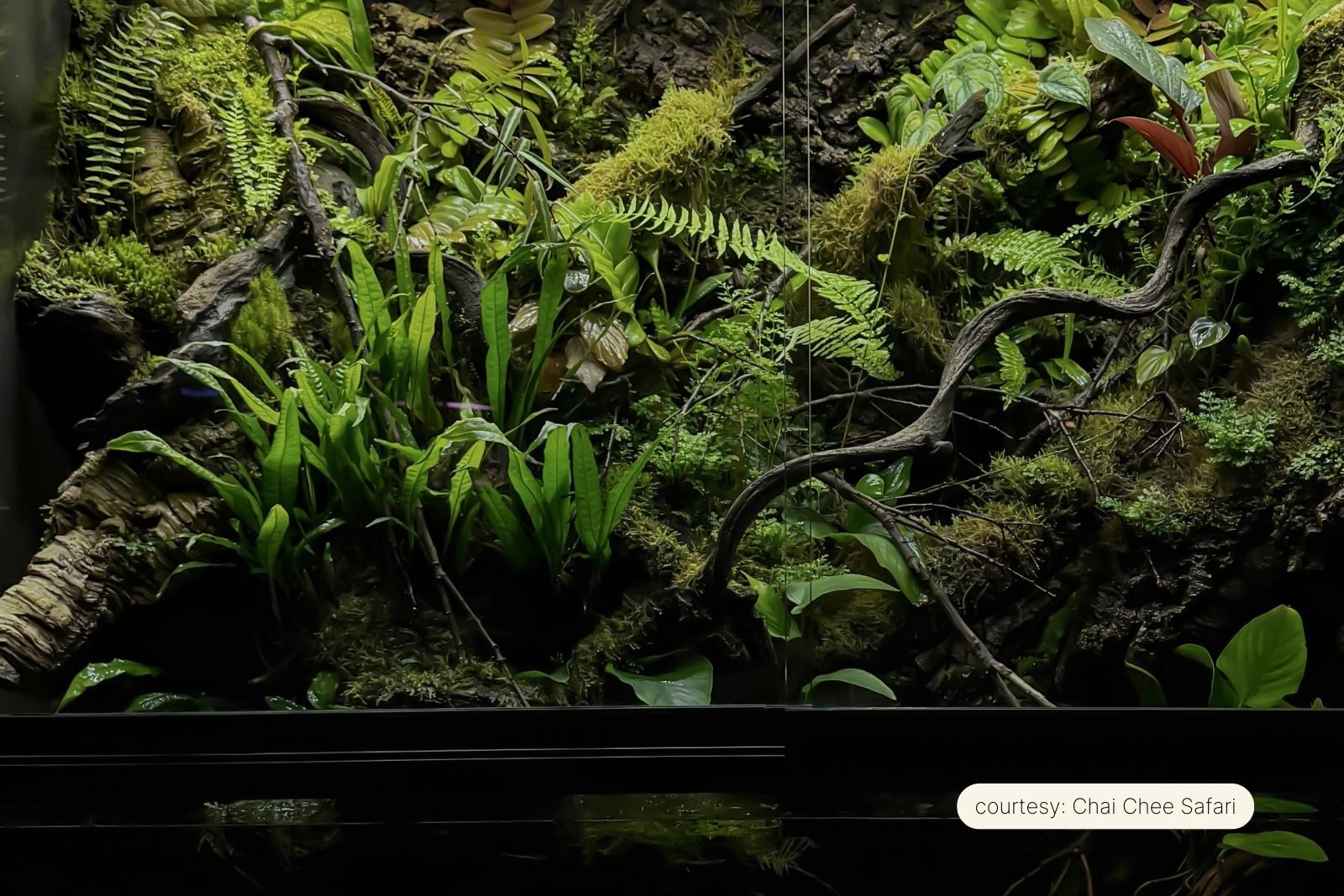 2Hr Aquarist APT Dew - The 2Hr Aquarist