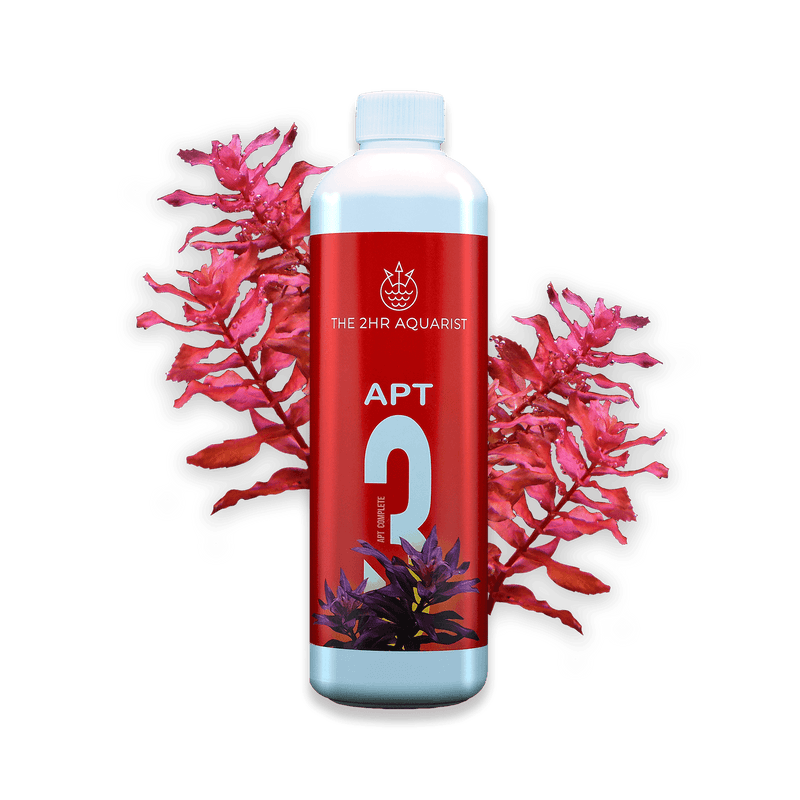 2Hr Aquarist APT 3 - The 2Hr Aquarist